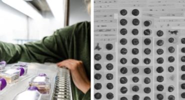 Homepage - McLane Labs